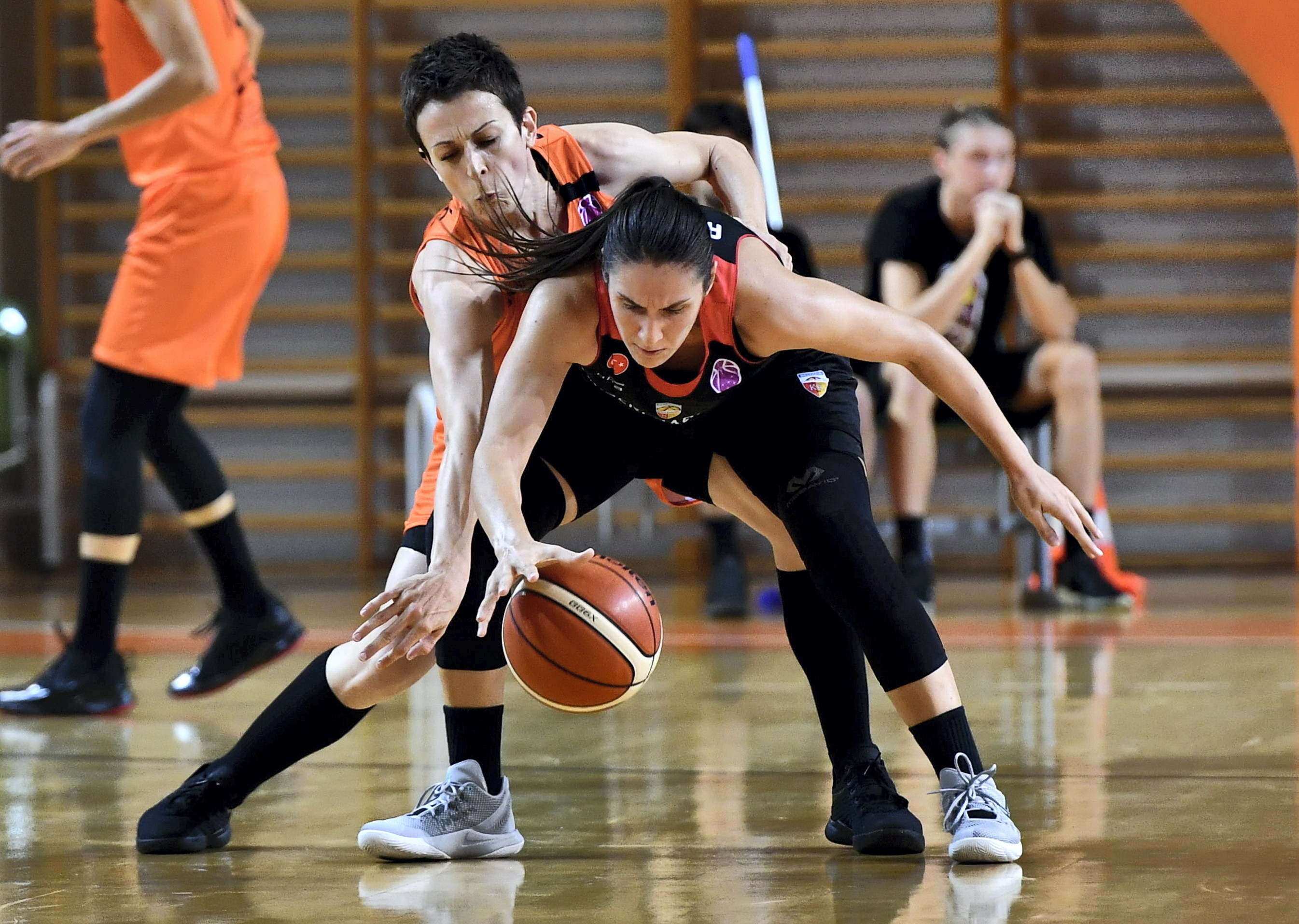 EuroCup. Mistrzynie Polski zaczęły od porażki, Luca Ivanković ograła ...