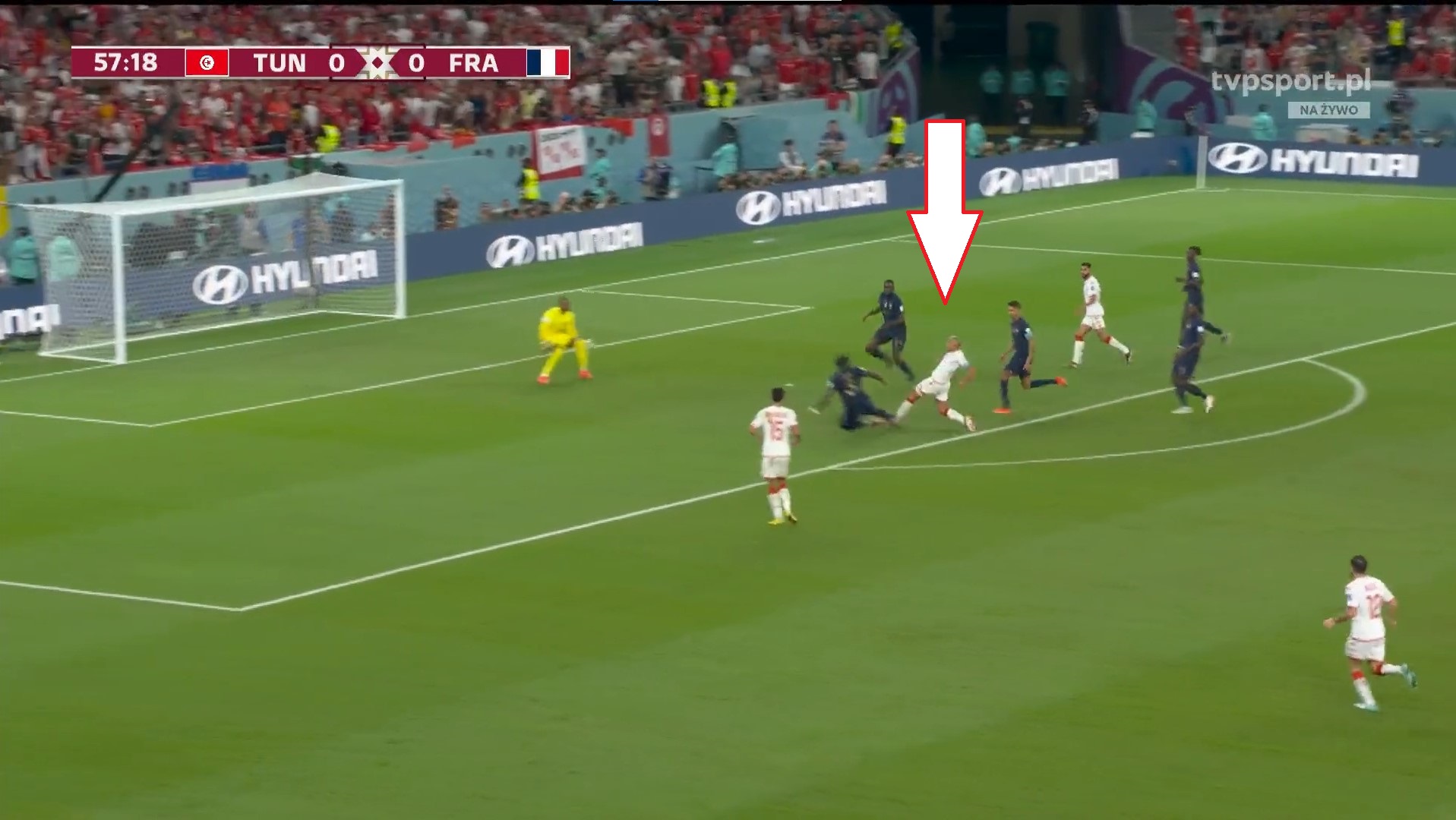 Szok w Katarze. Tak Tunezja wygrała z mistrzami świata [WIDEO] - Sport ...